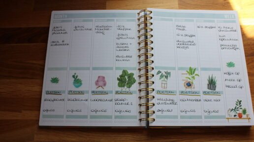 Mascha planner: review, ervaring | Glamourista - kapsels